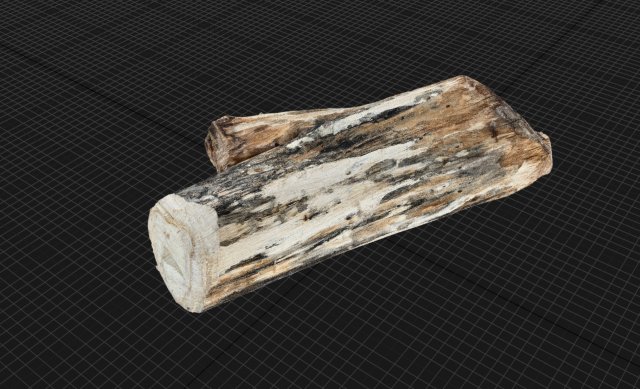 Tree trunk 3d scan highpoly 3D Model in Tree 3DExport
