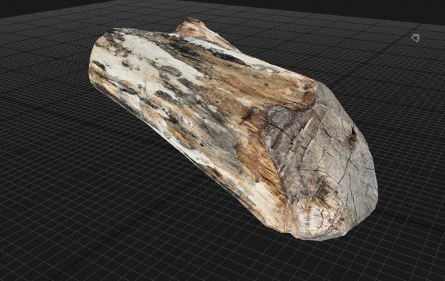 Tree trunk 3d scan highpoly 3D Model in Tree 3DExport
