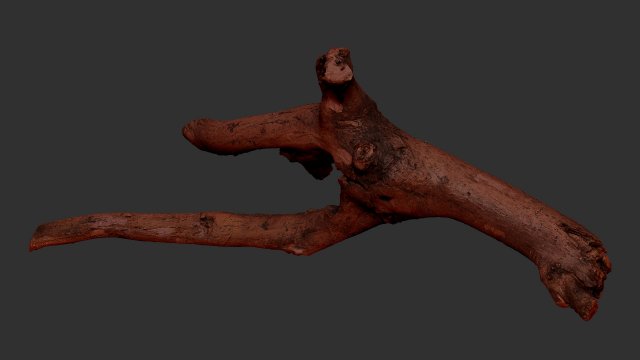 Tree branch 3d scan 3D Model in Tree 3DExport