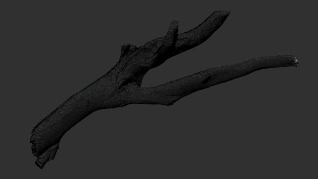 Tree branch 3d scan 3D Model in Tree 3DExport