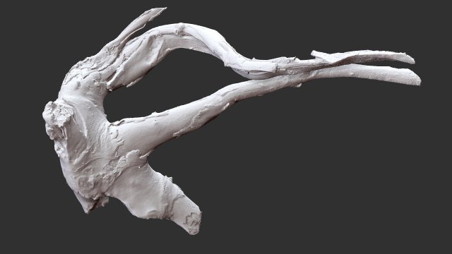 Tree Root 3D Scan in highpoly 3D Model in Tree 3DExport