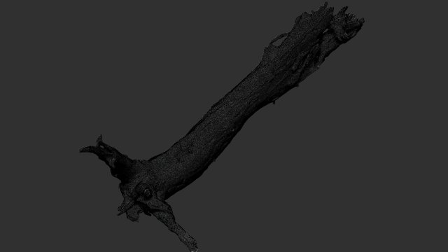 Dead old tree of the real world 3d scan 3D Model in Tree 3DExport