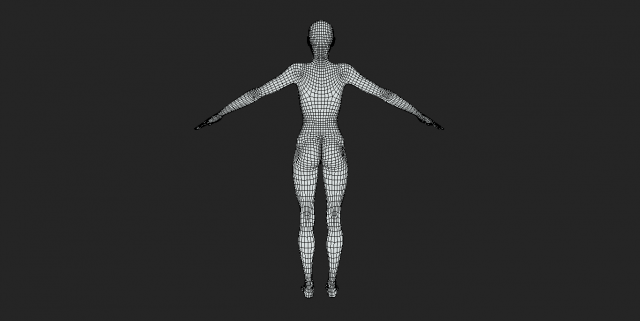 Embodiment of Realism Realistic Female Figure Base Mesh 3D Model in ...
