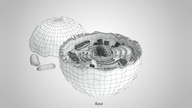 Plasma Cell 3D Model in Medicines 3DExport