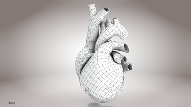 Animated Human Heart Anatomy 8K 3D Model in Medicines 3DExport