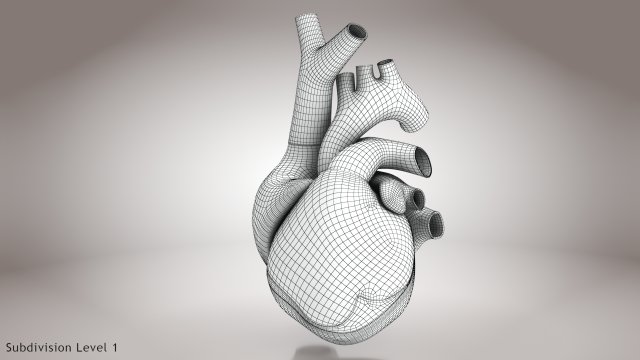 Animated Human Heart Anatomy 8K 3D Model in Medicines 3DExport