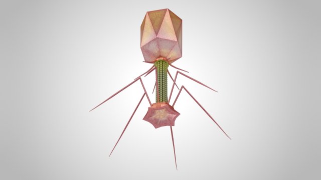 Bacteriophage 3D Model in Medicines 3DExport