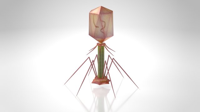 Bacteriophage 3D Model in Medicines 3DExport