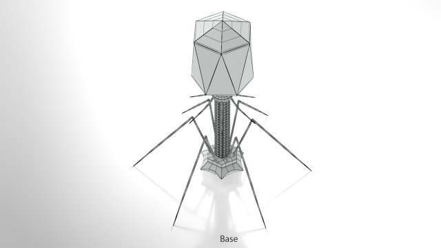 Bacteriophage 3D Model in Medicines 3DExport