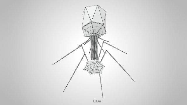 Bacteriophage 3D Model in Medicines 3DExport
