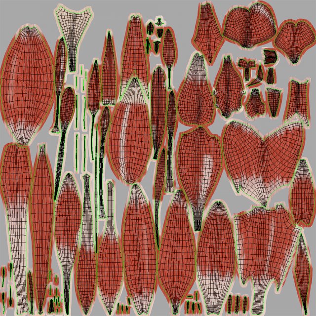 Musculoskeletal System with Body 3D Model in Medicines 3DExport