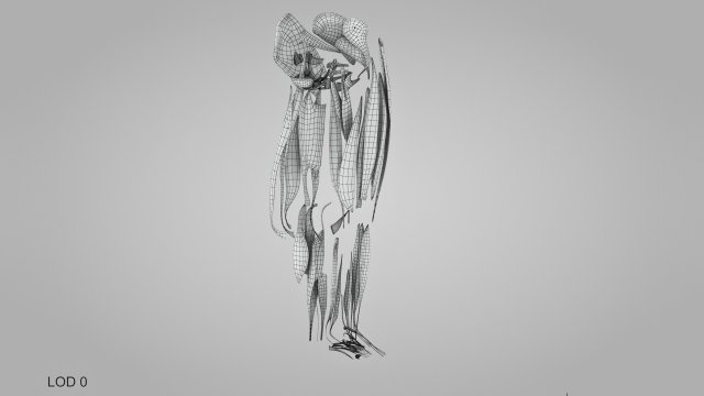 Complete Human leg anatomy 3D Model in Medicines 3DExport