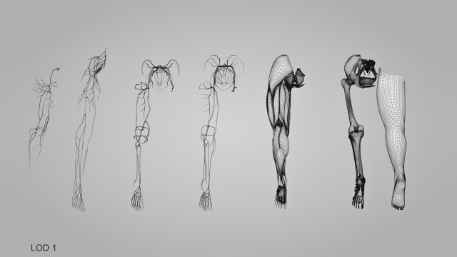 Complete Human leg anatomy 3D Model in Medicines 3DExport