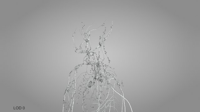 Lymphatic system in body 3D Model in Medicines 3DExport