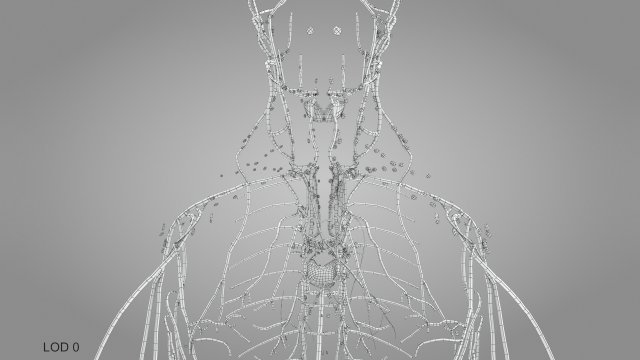 Lymphatic system in body 3D Model in Medicines 3DExport