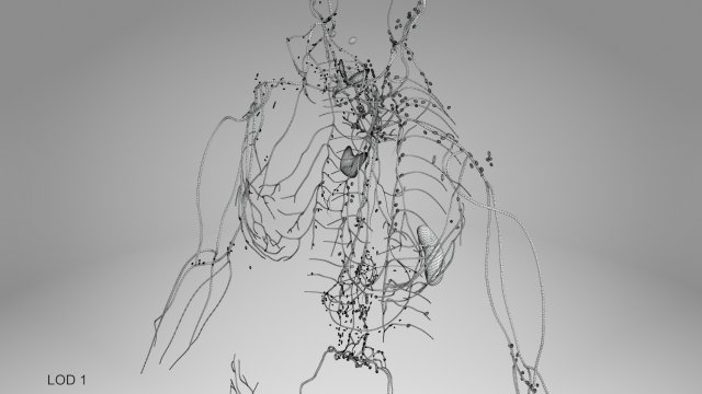 Lymphatic system in body 3D Model in Medicines 3DExport