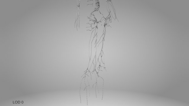 Lymphatic system in body 3D Model in Medicines 3DExport