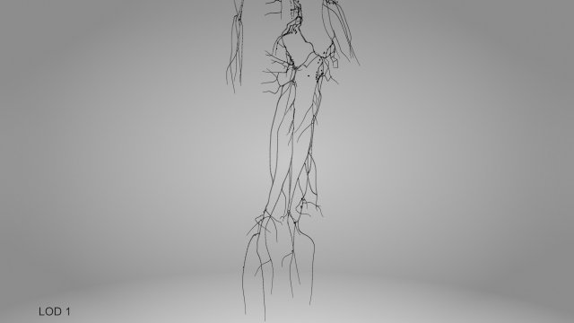 Lymphatic system in body 3D Model in Medicines 3DExport