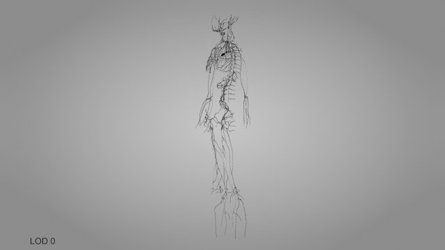 Lymphatic system in body 3D Model in Medicines 3DExport