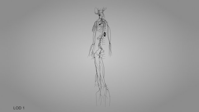 Lymphatic system in body 3D Model in Medicines 3DExport