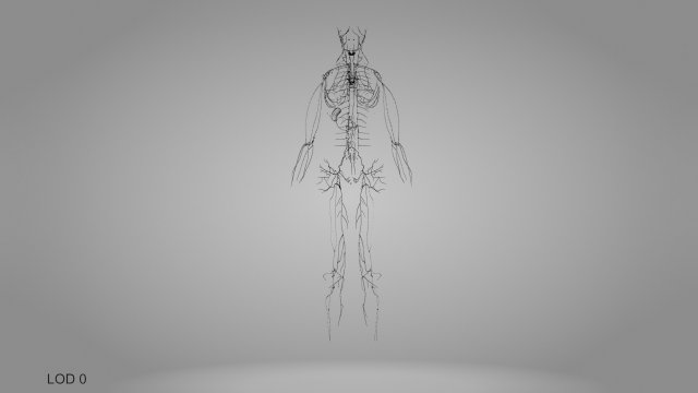 Lymphatic system in body 3D Model in Medicines 3DExport