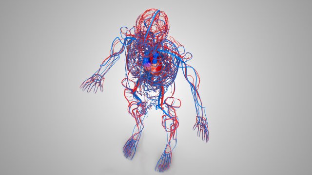 Complete Human Anatomy- Male 3D Model in Medicines 3DExport