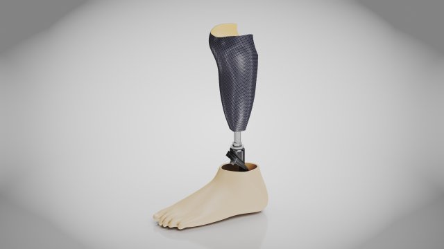 Below knee prosthetics 2 3D Model in Medical Equipment 3DExport