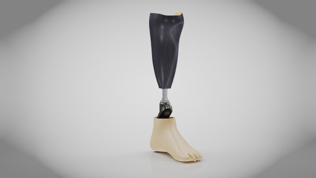 Below knee prosthetics 2 3D Model in Medical Equipment 3DExport
