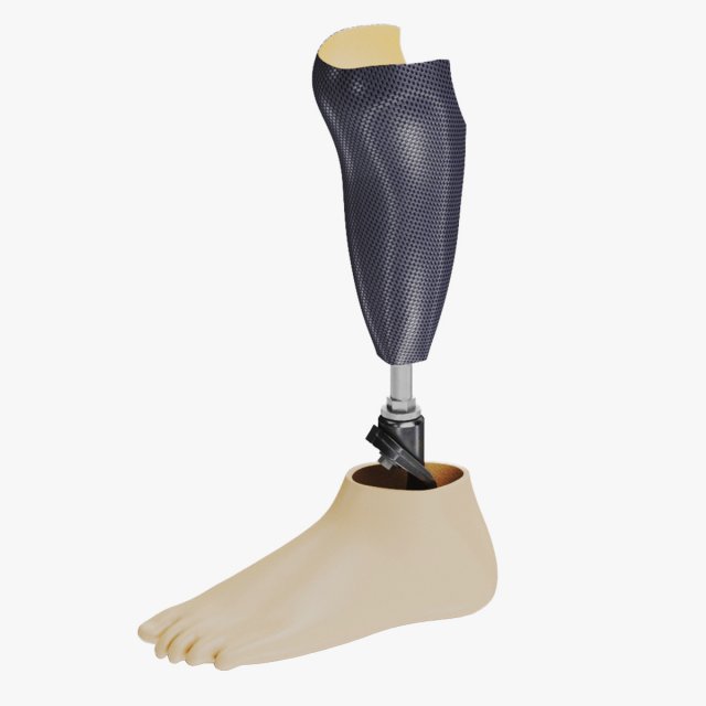 Below knee prosthetics 2 3D Model in Medical Equipment 3DExport