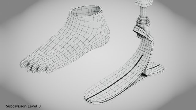 Below knee prosthetics 2 3D Model in Medical Equipment 3DExport