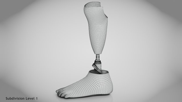 Below knee prosthetics 2 3D Model in Medical Equipment 3DExport