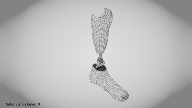 Below knee prosthetics 2 3D Model in Medical Equipment 3DExport