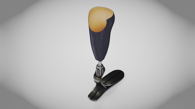 Below knee prosthetics- Implant 3D Model in Medical Equipment 3DExport
