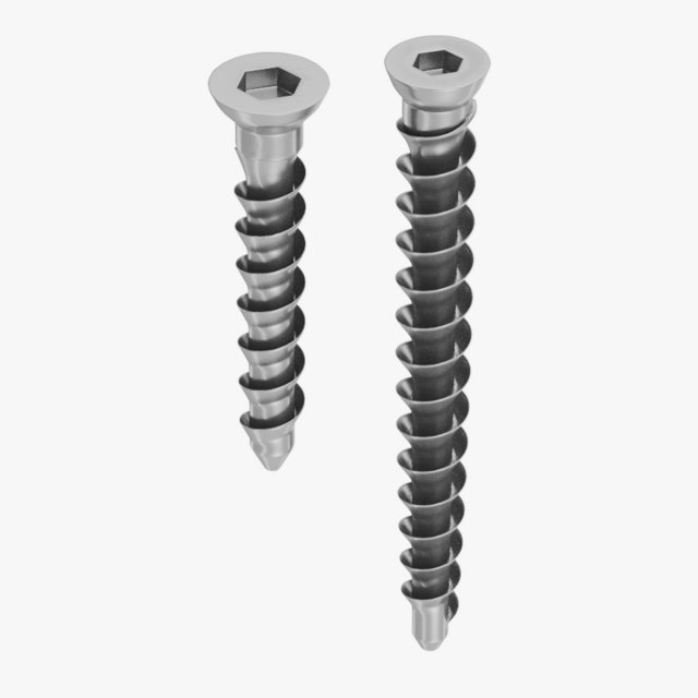 Bone Screw 2 size -Implant 3D Model in Medical Equipment 3DExport