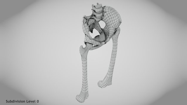Replaced Hip Implant 3D Model in Medical Equipment 3DExport