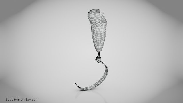 Below knee prosthetics 3 3D Model in Medical Equipment 3DExport