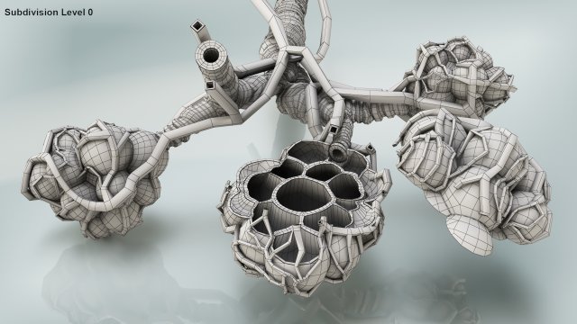 Alveoli - Cross-Section 3D Model in Medicines 3DExport