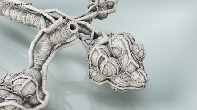 Alveoli - Cross-Section 3D Model in Medicines 3DExport