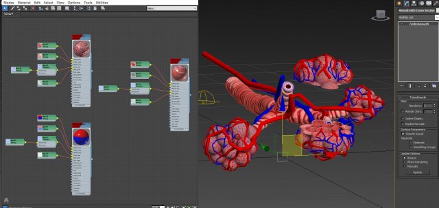 Alveoli - Cross-Section 3D Model in Medicines 3DExport