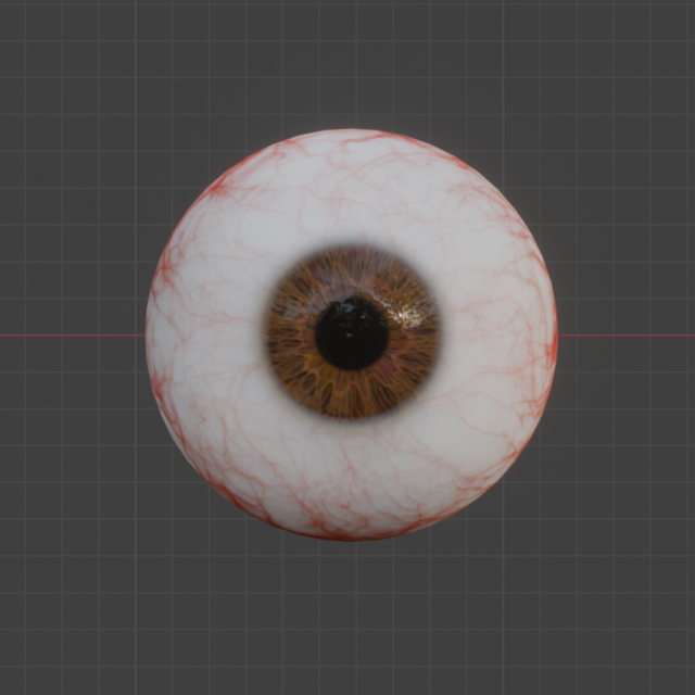 Realistic Human Eye 3D Model in Anatomy 3DExport