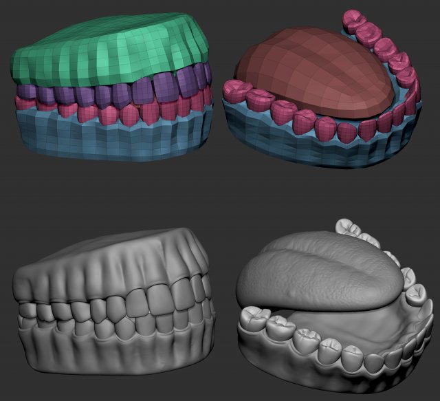 Female elf head basemesh 3D Model in Woman 3DExport