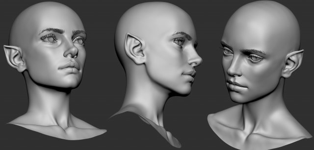 Female elf head basemesh 3D Model in Woman 3DExport