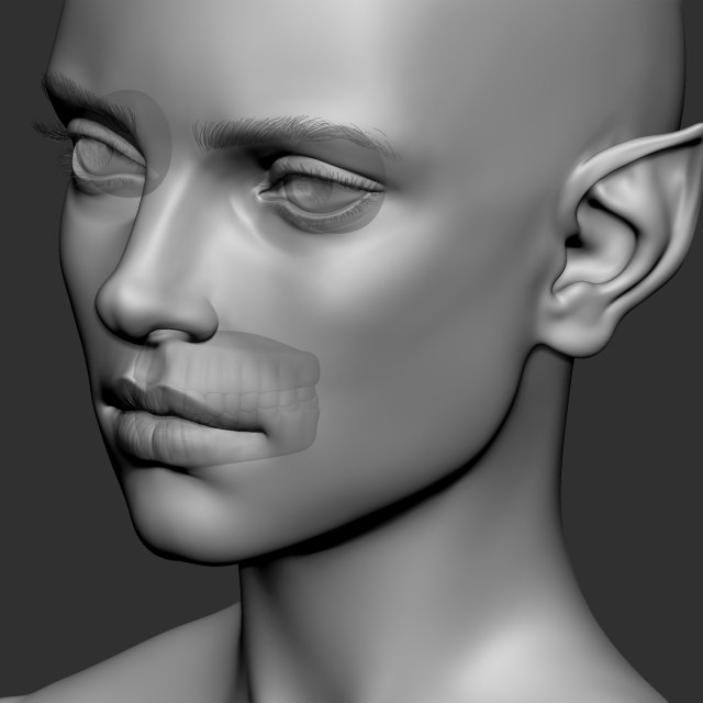 Female elf head basemesh 3D Model in Woman 3DExport