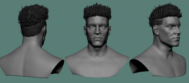 Male hair and beard models 3D Model in Man 3DExport