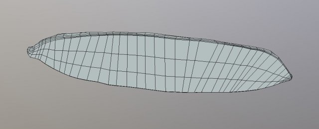 Kusbasili Pide Turkish Pizza 3D Model in Miscellaneous 3DExport