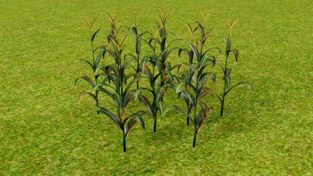 3D corn plant 3D Model in Small Plants 3DExport