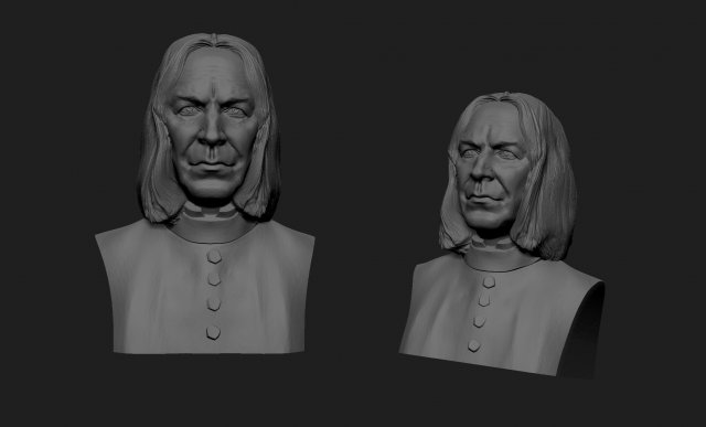 Severus snape 3D Print Model in Memorabilia 3DExport