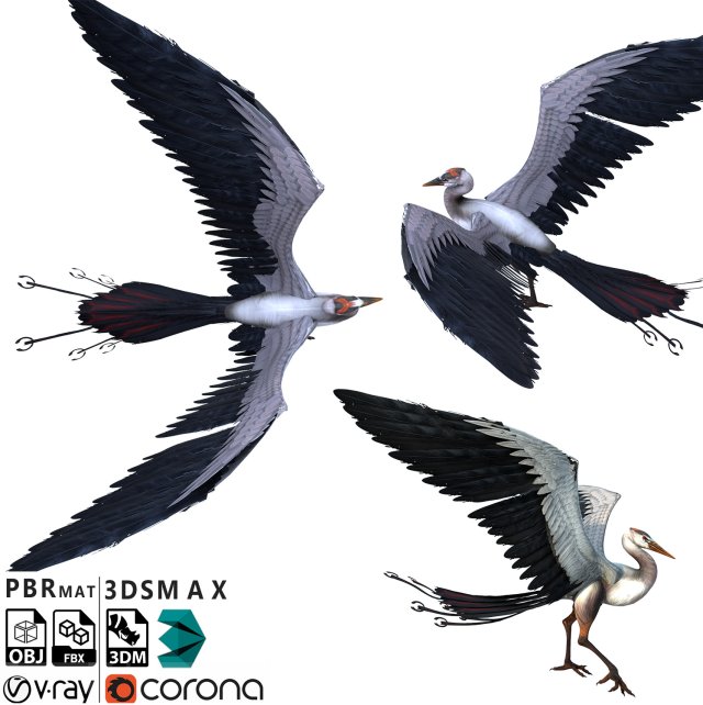 Bird 3D Model in Bird 3DExport