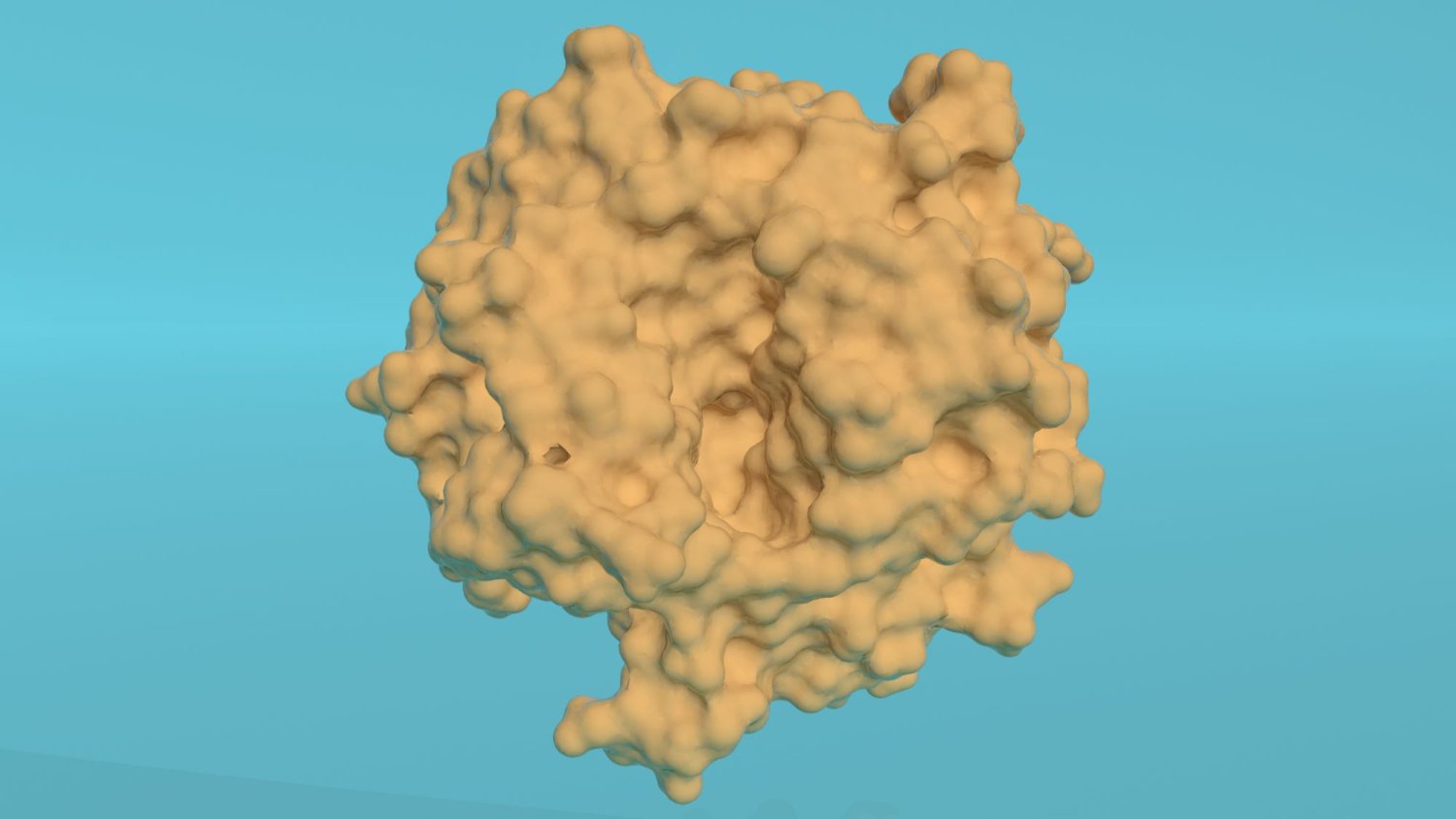 Glucose oxidase enzyme 3D Model in Other 3DExport