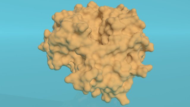 Glucose oxidase enzyme 3D Model in Other 3DExport